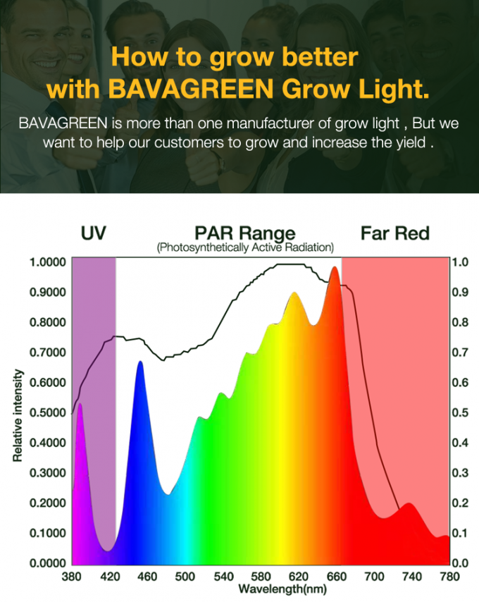 LM301H Full Spectrum LED Bar