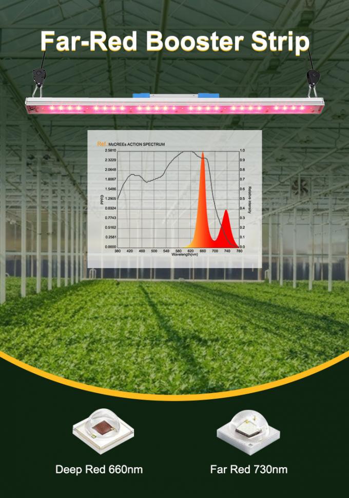 660nm 730nm Red Far Red Bloom Booster Grow Light Bavagreen IR