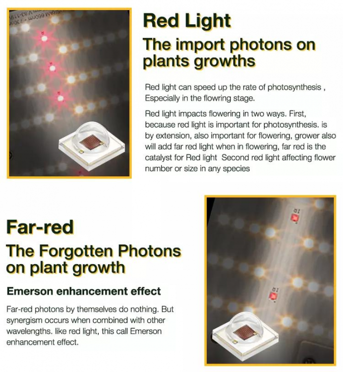 Uv 385nm LM301H LED Grow Light ETL 720w 1872umol/S 4 Switches